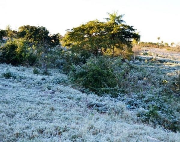 Escarchas y frío intenso marcan el inicio de julio